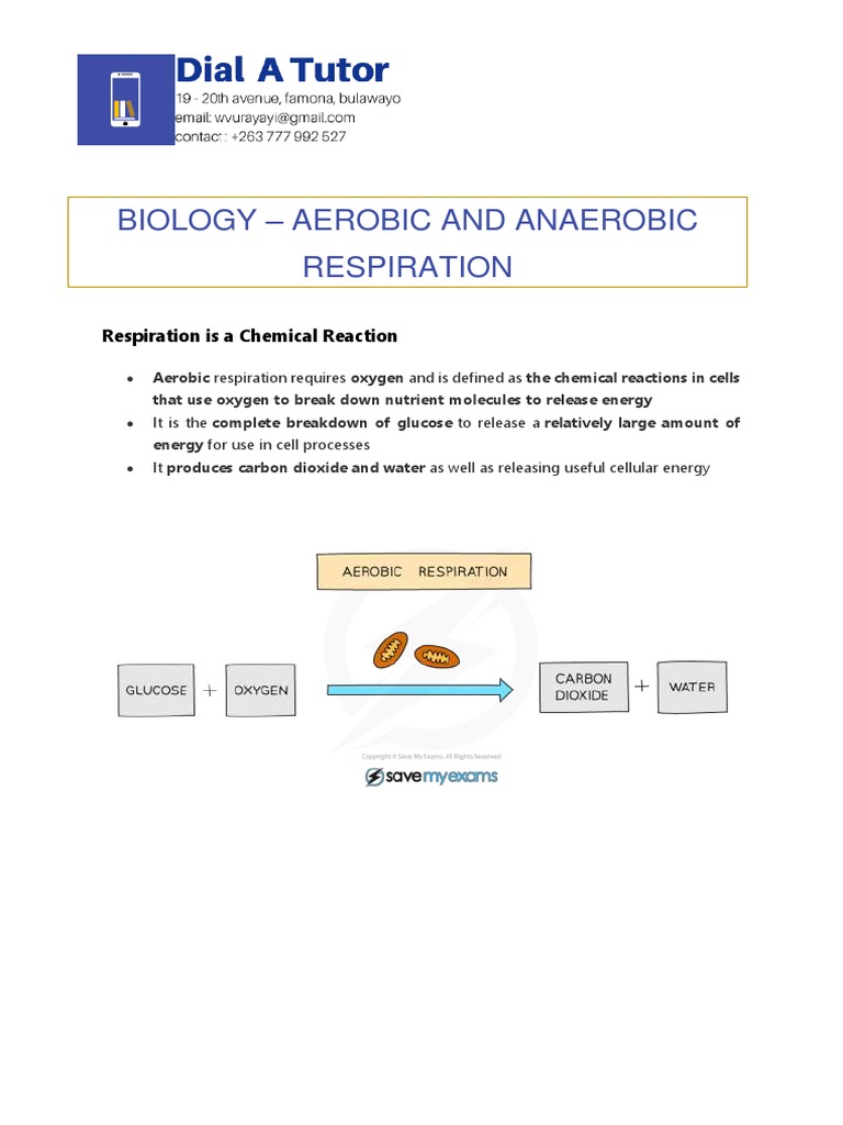 Biology - Aerobic and Anaerobic Respiration 2023 | PDF | Cellular ...