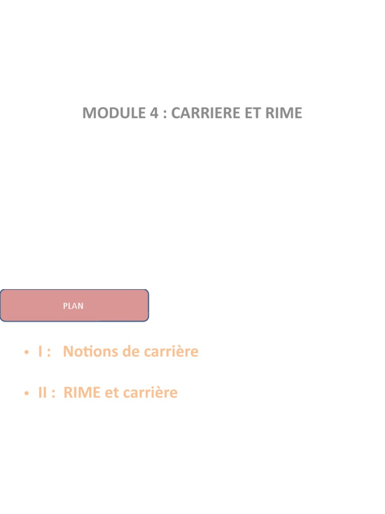 Module 4 Plan de Carriere Et RIME | PDF
