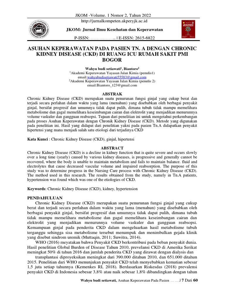 Asuhan Keperawatan Pada Pasien Tn. A Dengan Chronic Kidney Disease (CKD ...