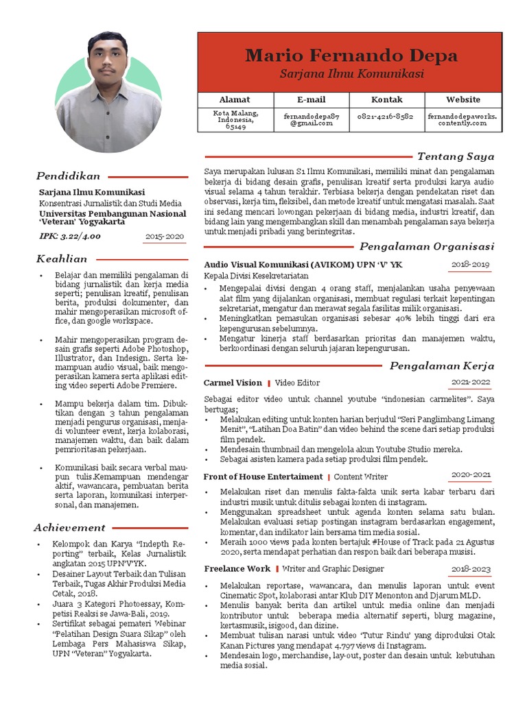 Profil Profesional Mario Fernando Depa | PDF | Seni