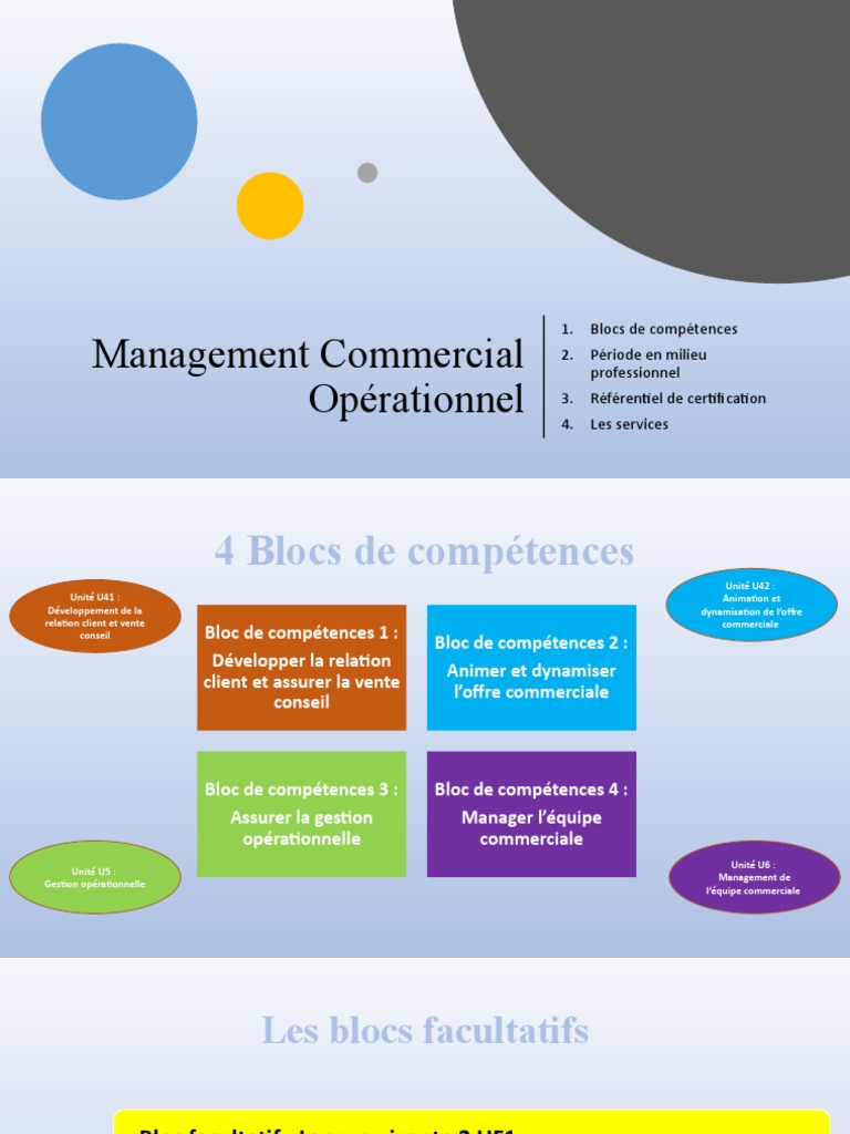 Management Commercial Operationnel | PDF