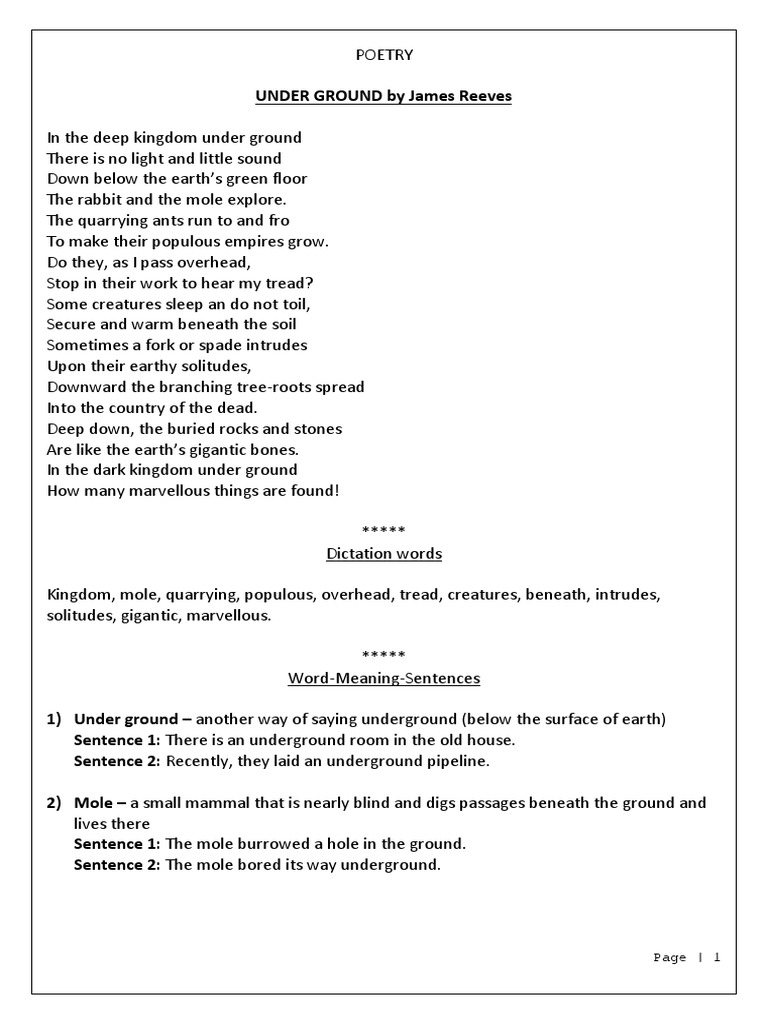 Underground | Download Free PDF | Ant