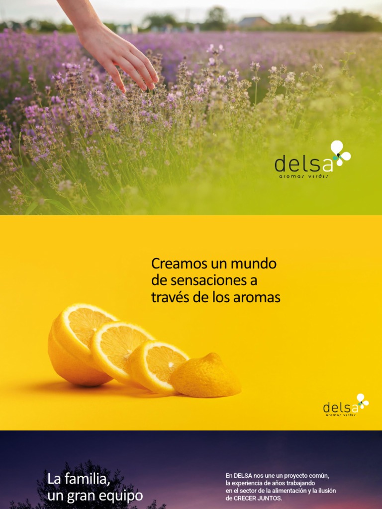Aromas Personalizados para Alimentación | PDF | Alimentos | Bebida