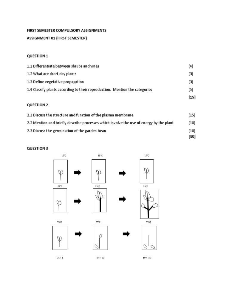PTP1501 2023 Assignment Ass1 Sem1 | PDF | Plants | Leaf