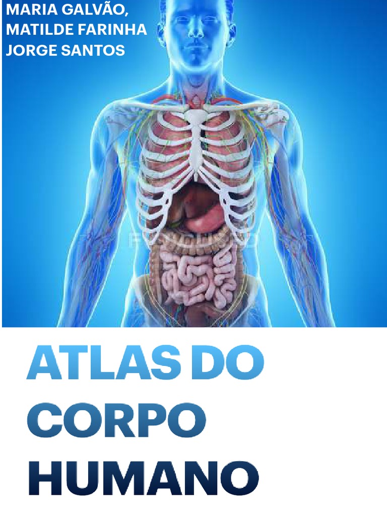 Livro Atlas Do Corpo Humano PDF | PDF | Trato gastrointestinal ...