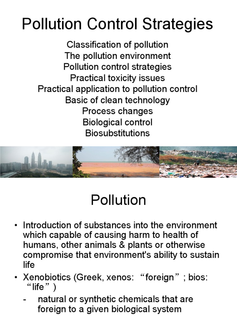 Pollution Control Strategies Overview | PDF
