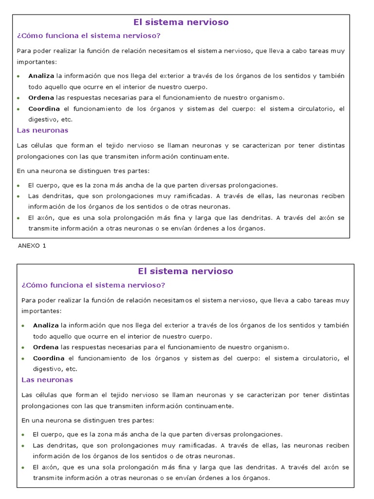 Anexo CyT 070623 | PDF