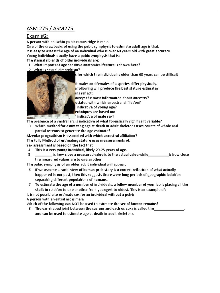 Pubic Symphysis Age And Sex Estimation Pdf 7951