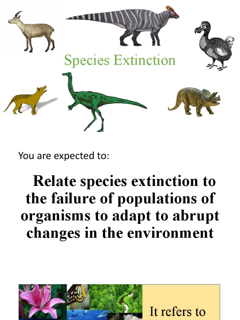 Species Extinction | PDF | Extinction | Climate Change