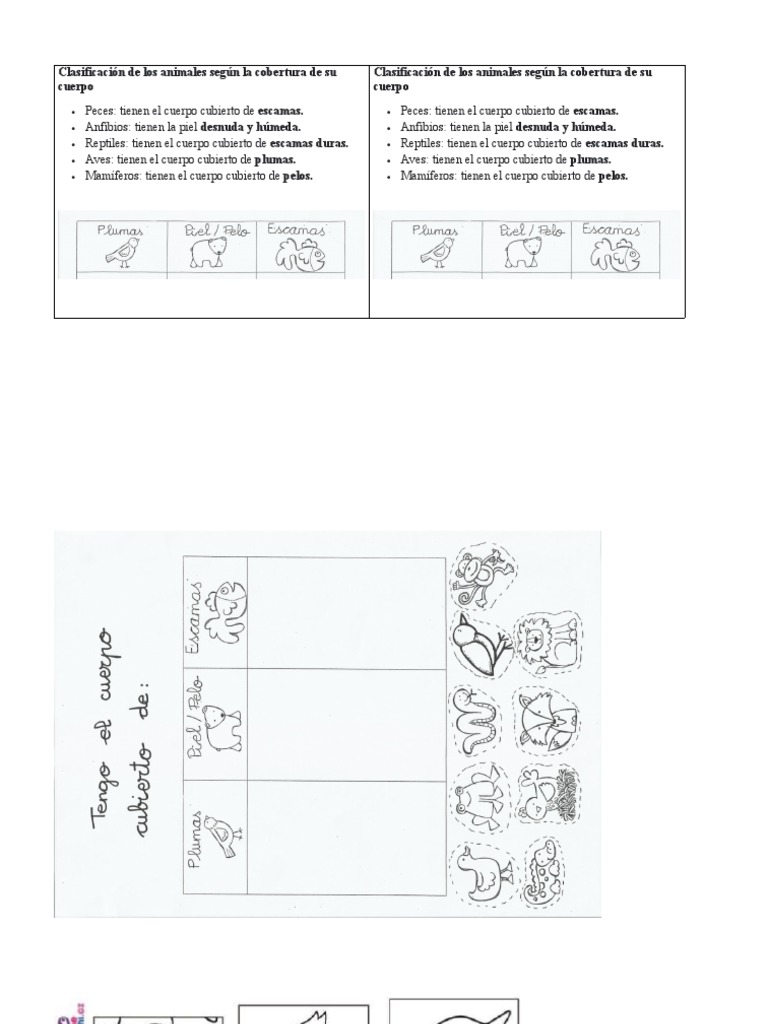 Piel Plumas Pelo Escamas | PDF