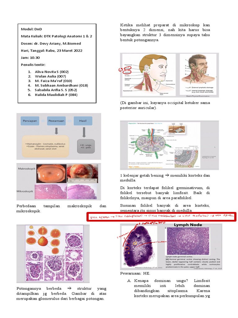 DTK PA Tentir 21 | PDF