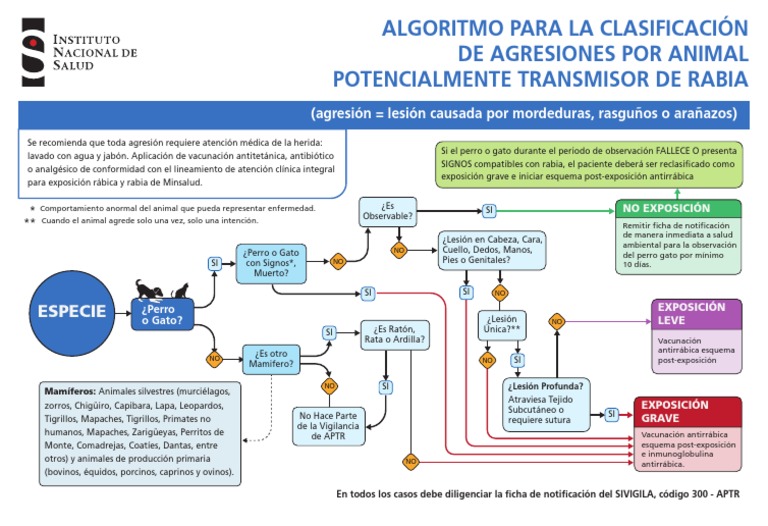 Rabia Protocolo 2 Algoritmo | PDF