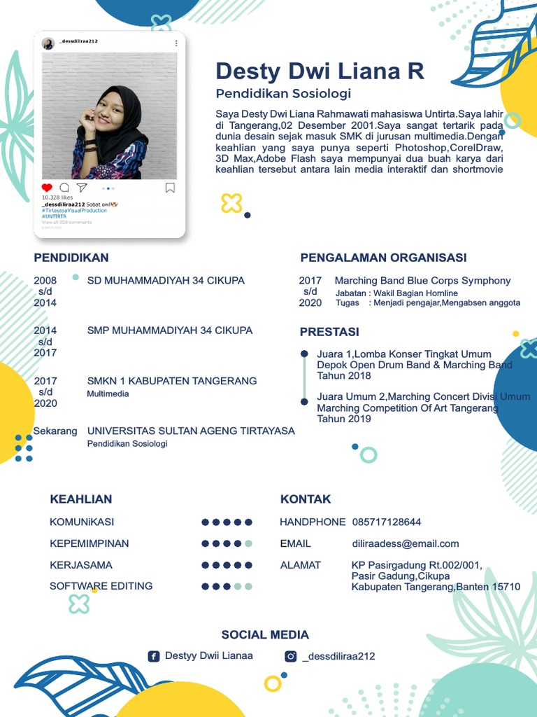 Curriculum Vitae Desty | PDF
