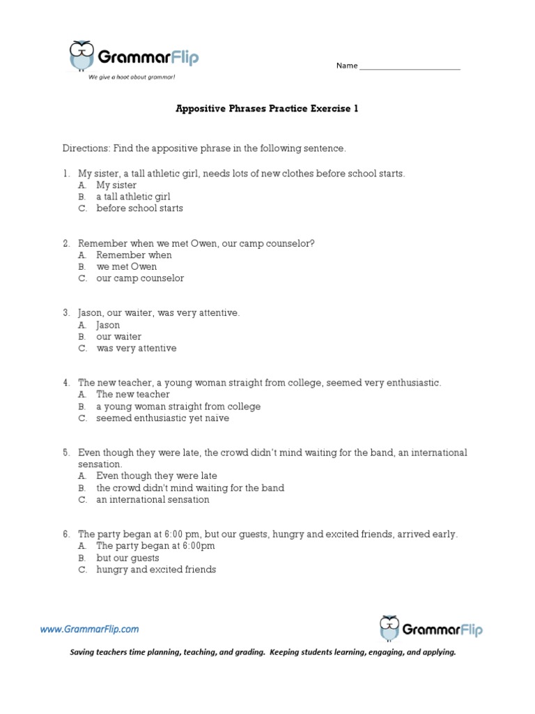 Appositive Phrases Practice Exercises | PDF
