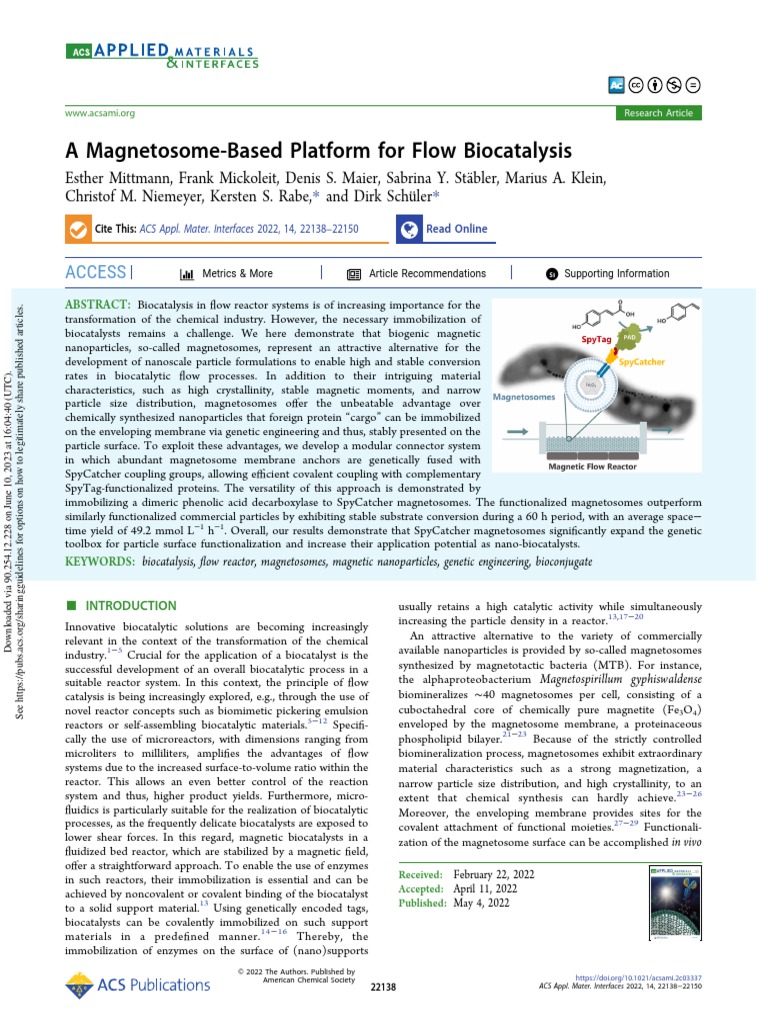 Magnetosome-Based Platform For Flow Biocatalysis - Mittmann 2022 | PDF | Proteins | Enzyme