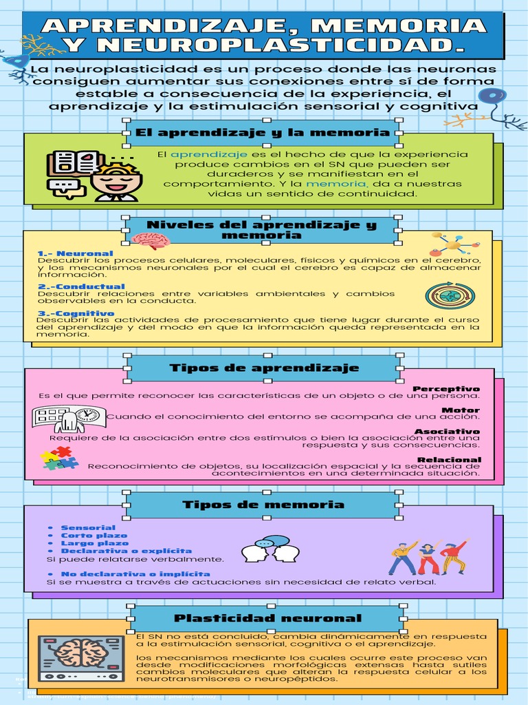 Neuroplasticidad y Aprendizaje | PDF | Aprendizaje | Memoria