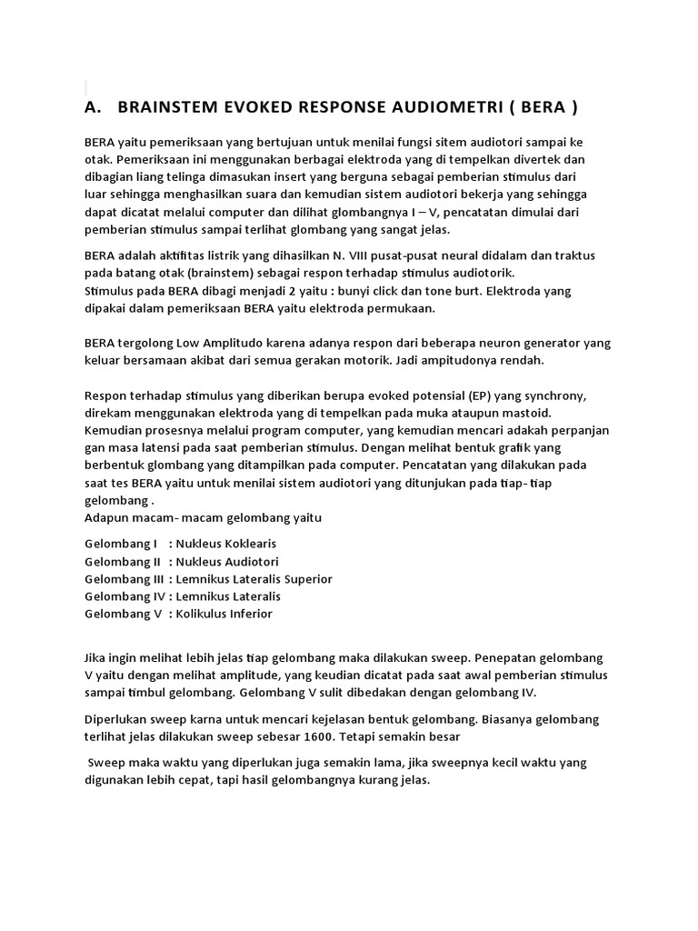 Bera | PDF | Teknologi & Rekayasa