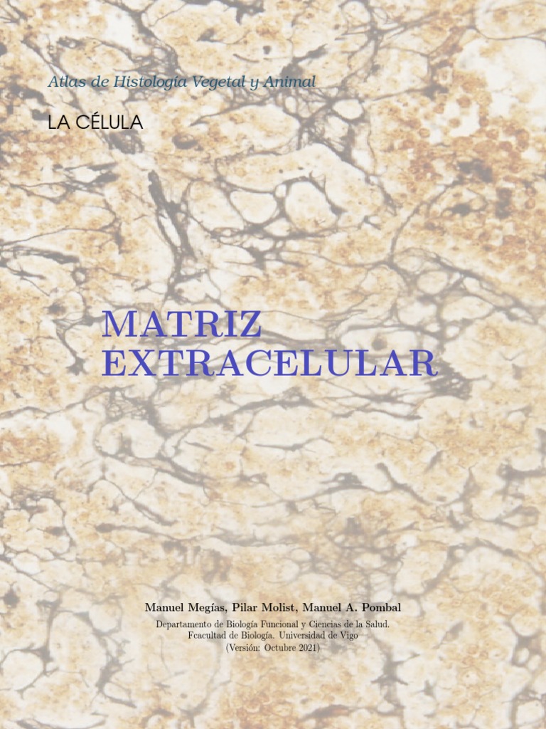 Atlas Celula 02 Matriz Extracelular Pdf Colágeno La Matriz