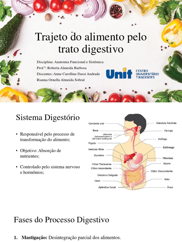Trajeto do alimento pelo trato digestivo | PDF | Digestão | Sistema ...