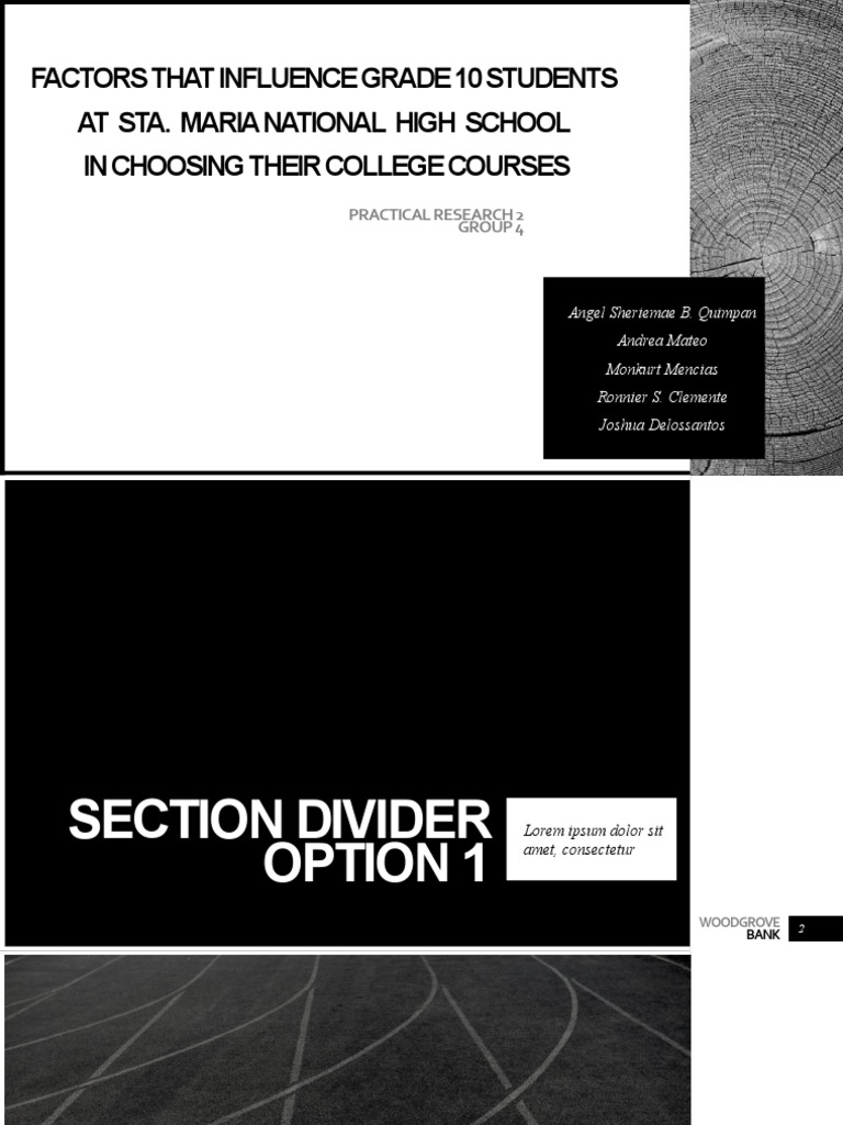 Factors Influencing College Course Choices | PDF