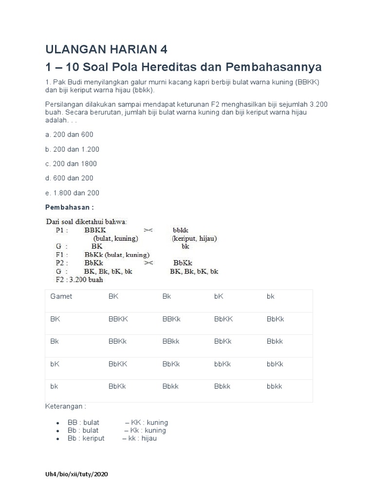 Soal UH4 Genetika-TUTY | PDF