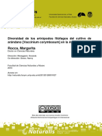 INSECTOS PLAGAS - Tara PDF | PDF | Lepidópteros | Mosca