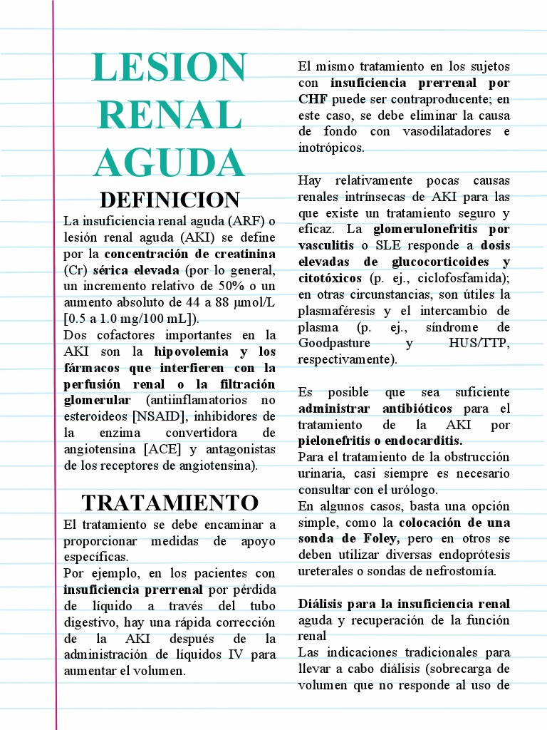Lesion Renal | PDF | Riñón | Enfermedades y trastornos