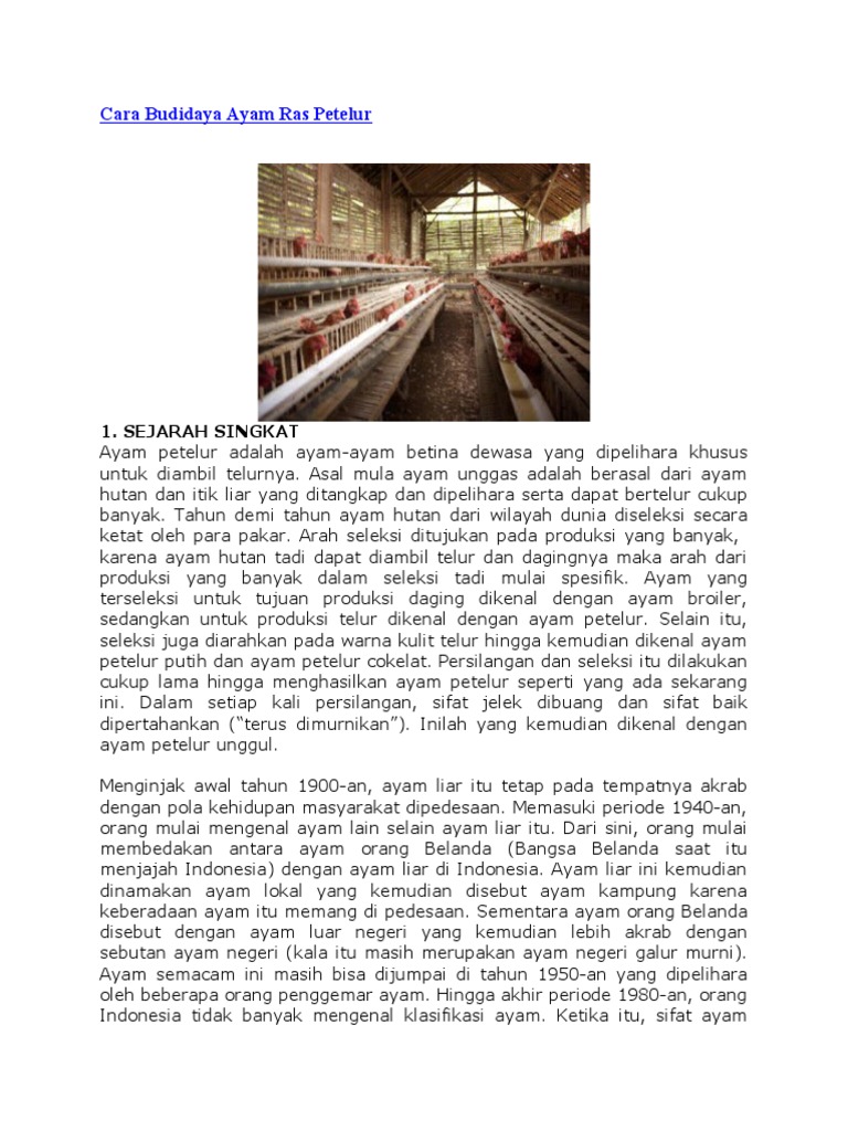 Cara Budidaya Ayam Ras Petelur | PDF