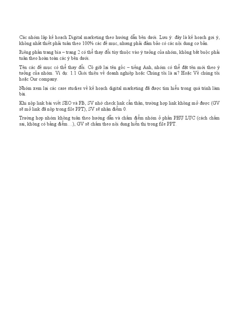 DIGITAL MARKETING PLAN TEMPLATE HUONG DAN Ver3 1 | PDF