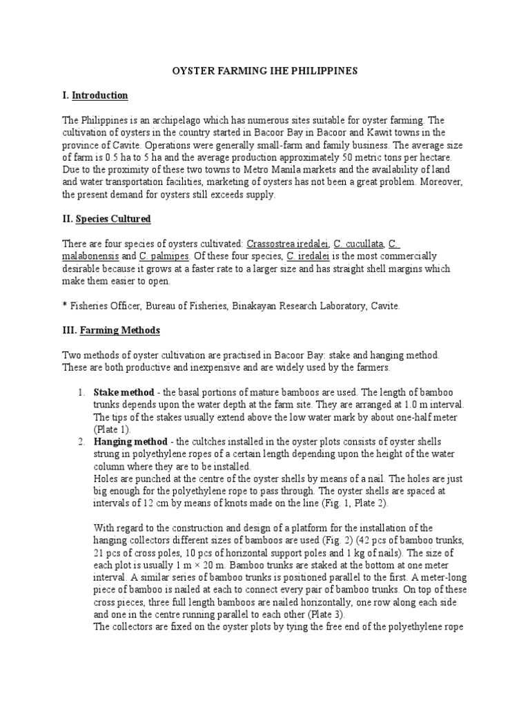 Oyster Farming in The Philippines | PDF | Oyster | Luzon