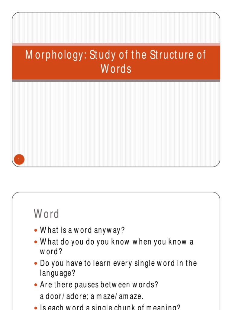 Morphology | Word | Morphology (Linguistics)