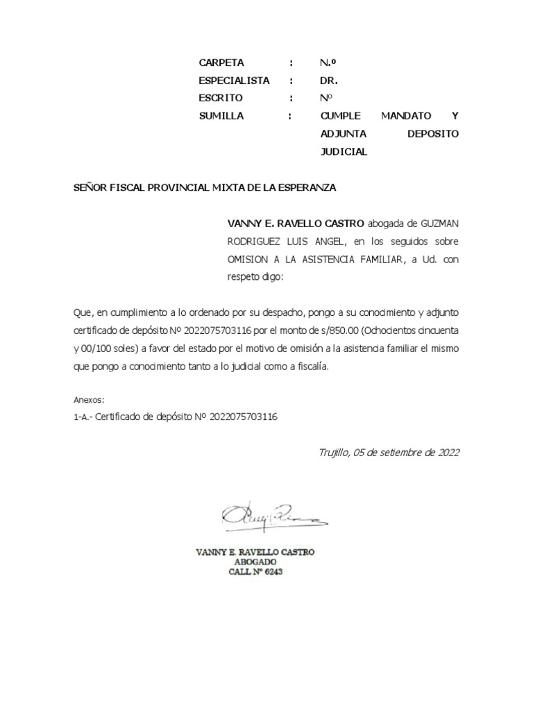 Adjunta Deposito Guzman Rodriguez Luis Omision Familiar | PDF