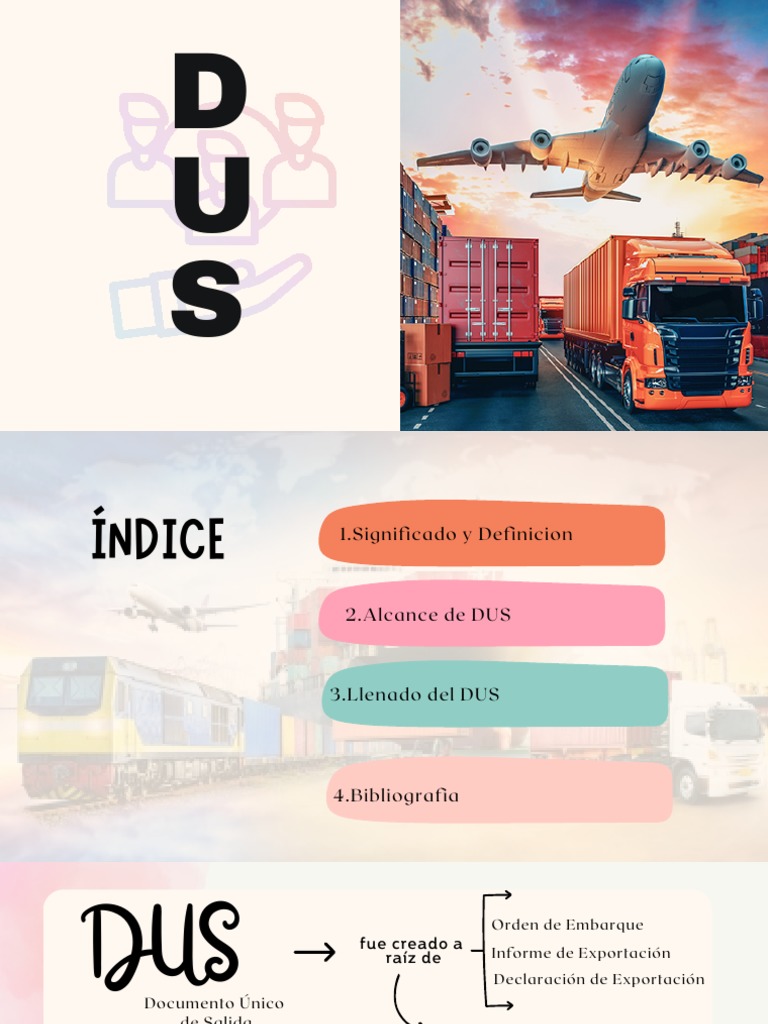 DUS | PDF | aduana
