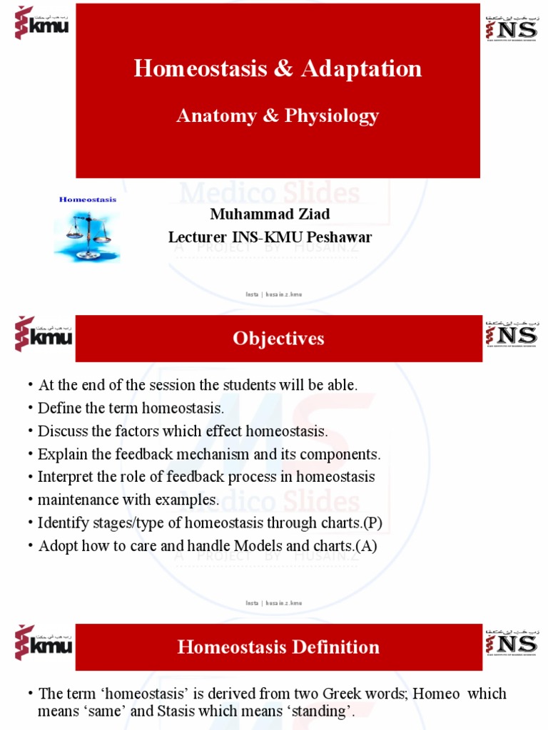 Unit # 02 Homeostasis Insta - Husain.z.kmu | PDF | Homeostasis | Feedback