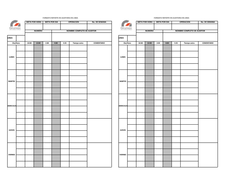 Formato Reporte de Auditoria en Lineas | PDF