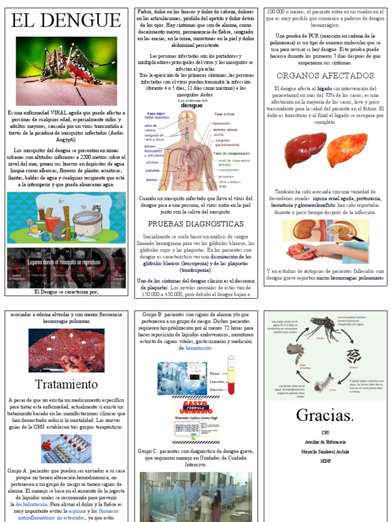El Dengue | PDF | Ciencias de la Salud | Epidemiología