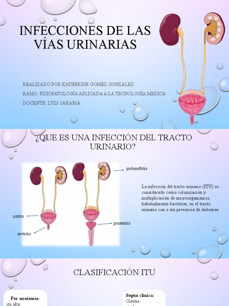 Infecciones de Las Vias Urinarias | PDF | Infección del tracto urinario ...