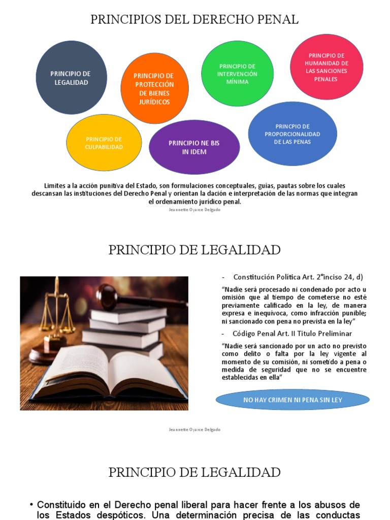 7 Principios Del Derecho Penal Pdf Derecho Penal Castigos