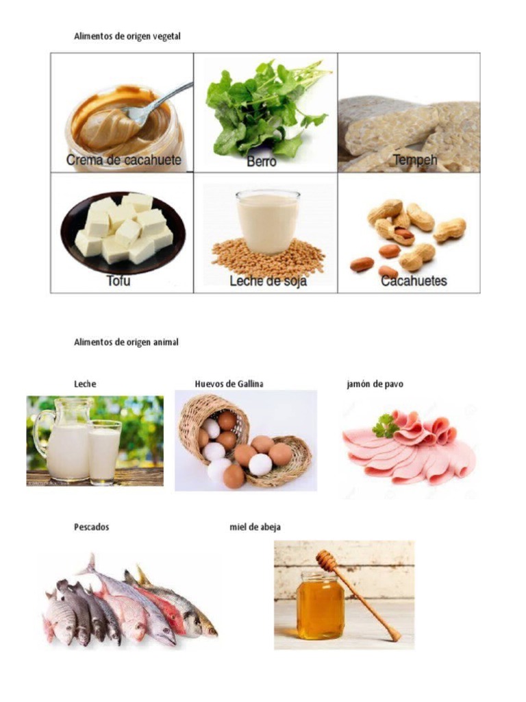 alimentos y su origen | PDF