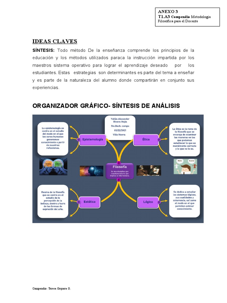 Organizador Gráfico | PDF