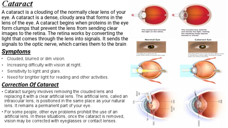 Physics Project Diganta Chatterjee | PDF
