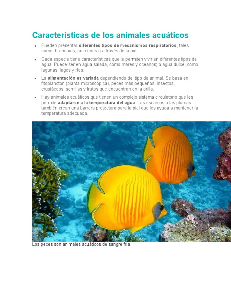 Características de Los Animales Acuáticos | PDF | Hogar y jardín