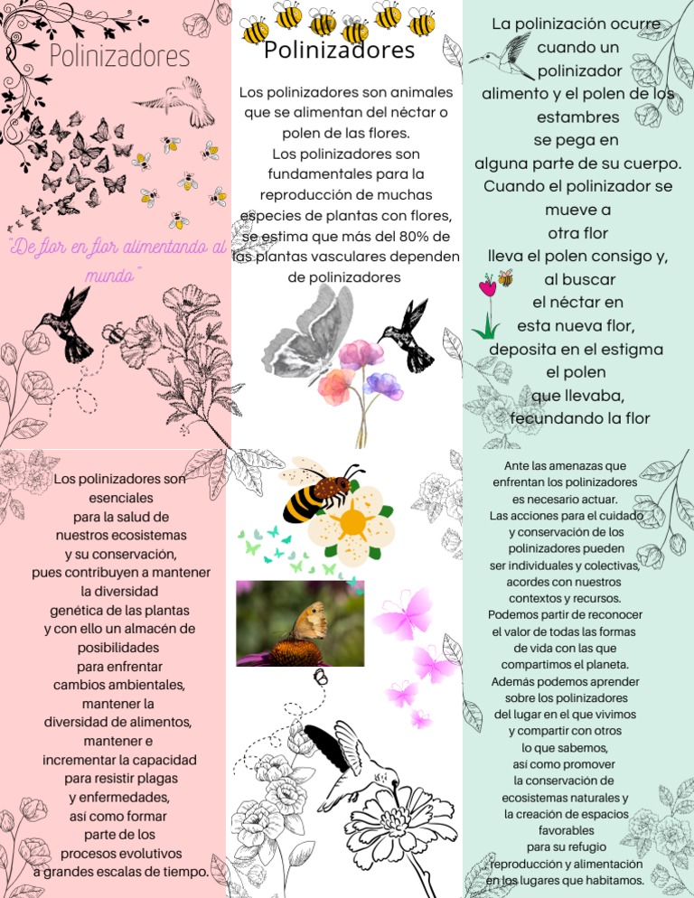 Importancia de los Polinizadores | PDF | Polinización | Flores