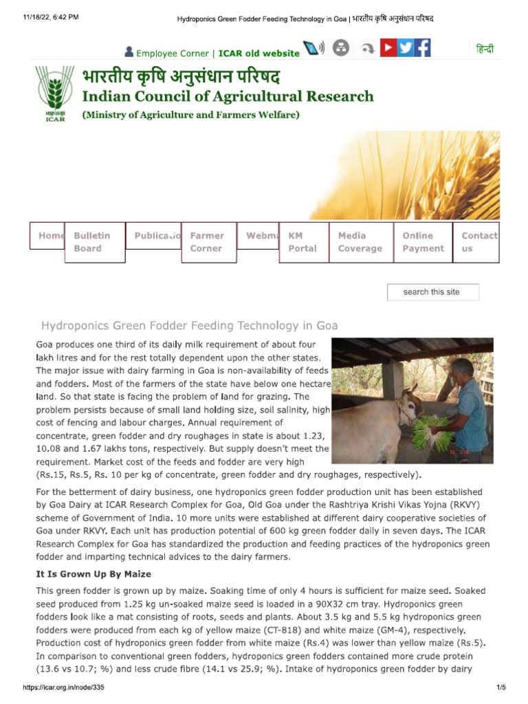 Hydroponics Fodder System - Goa | PDF
