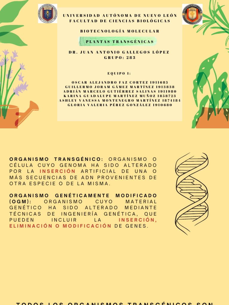 Plantas Transgénicas | PDF | Organismo genéticamente modificado ...