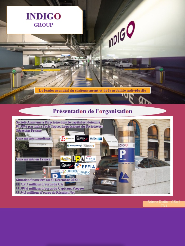 Powerpoint Indigo Group | PDF