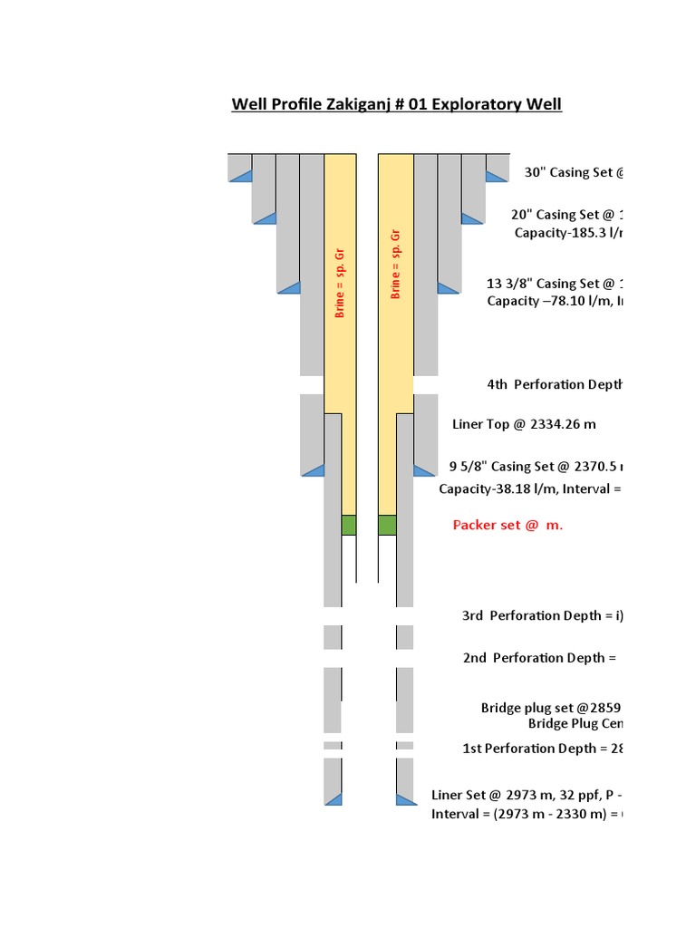 Zakiganj #01 Well Profile Details | PDF