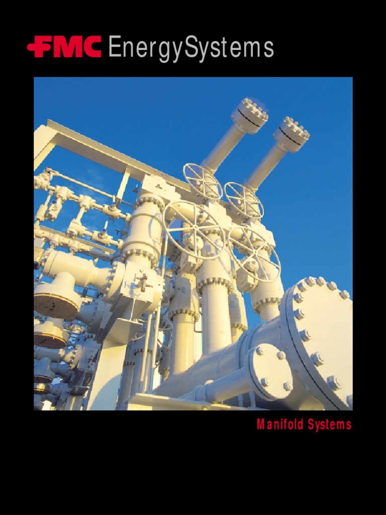 FMC Manifolds Check - Valve | PDF