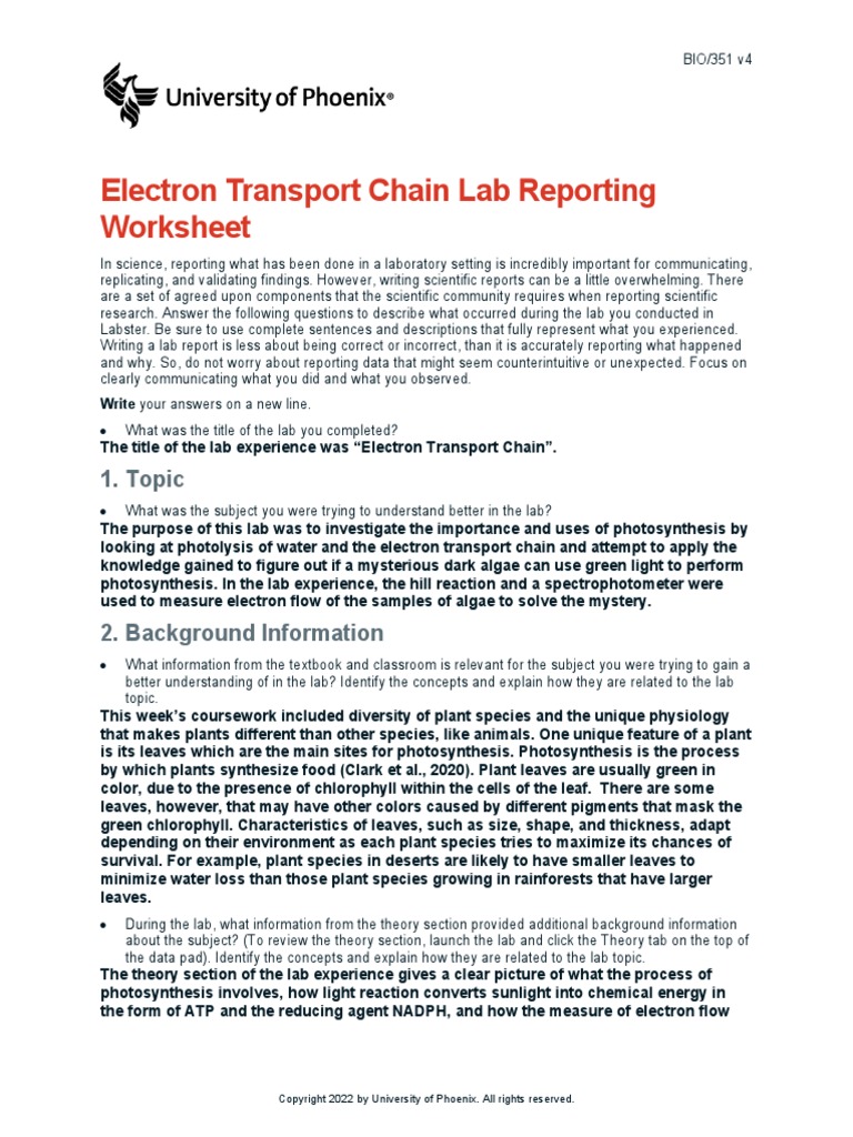 BIO II Lab 3 Electron Transport Chain and Photosynthesis | PDF ...
