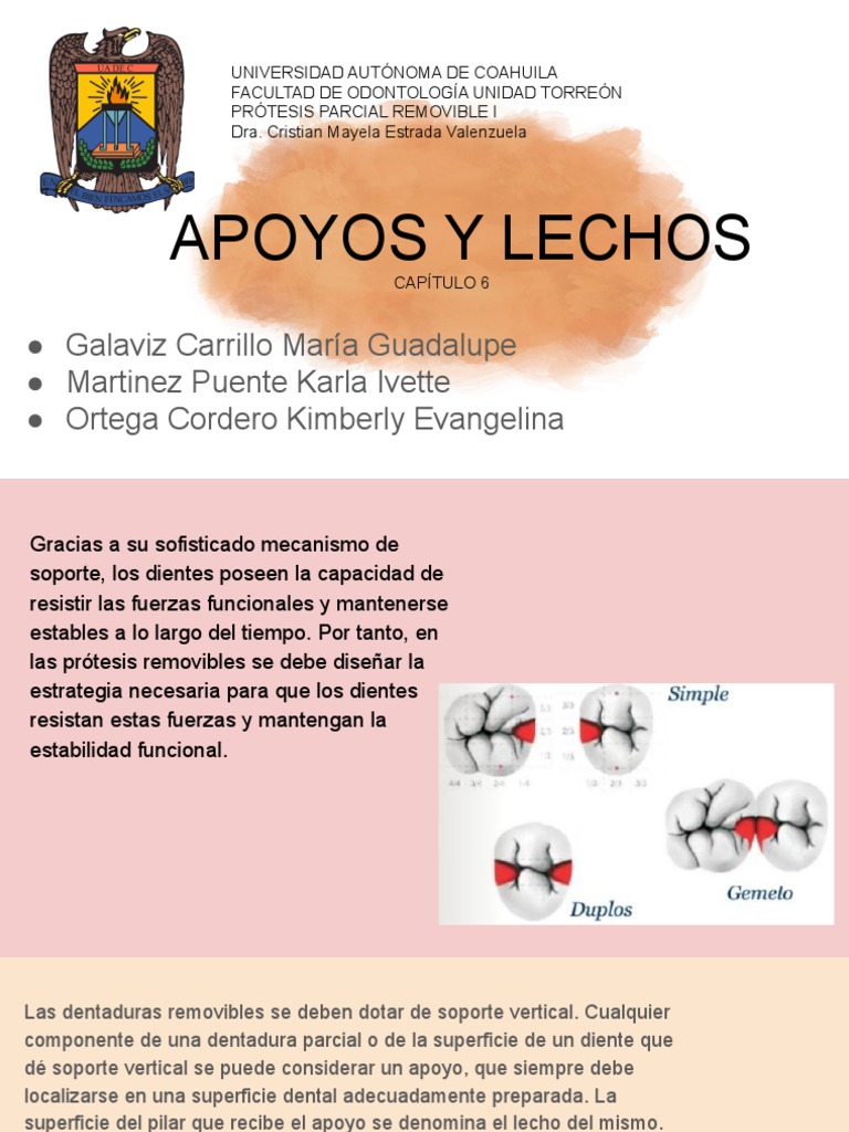 Apoyos y Lechos. Odontología | PDF | Dentadura postiza | Esmalte de dientes